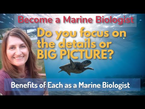 Do you focus on details or big picture??