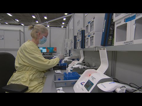 Sask. COVID-19 case numbers are dropping but the crisis isn't over: infectious diseases specialist