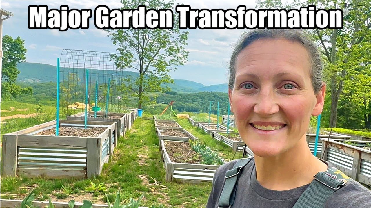 Well That Didn’t Go As Planned!