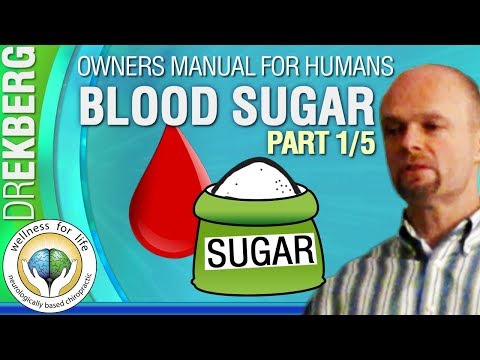 Blood Sugar Explained Pt5 1/5 User Manual For Humans