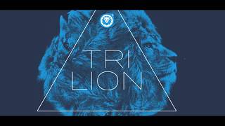 TriLion Studios Reviews | View Portfolios | DesignRush