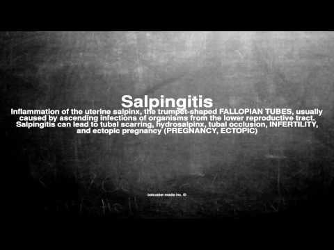 Medical vocabulary: What does Salpingitis mean