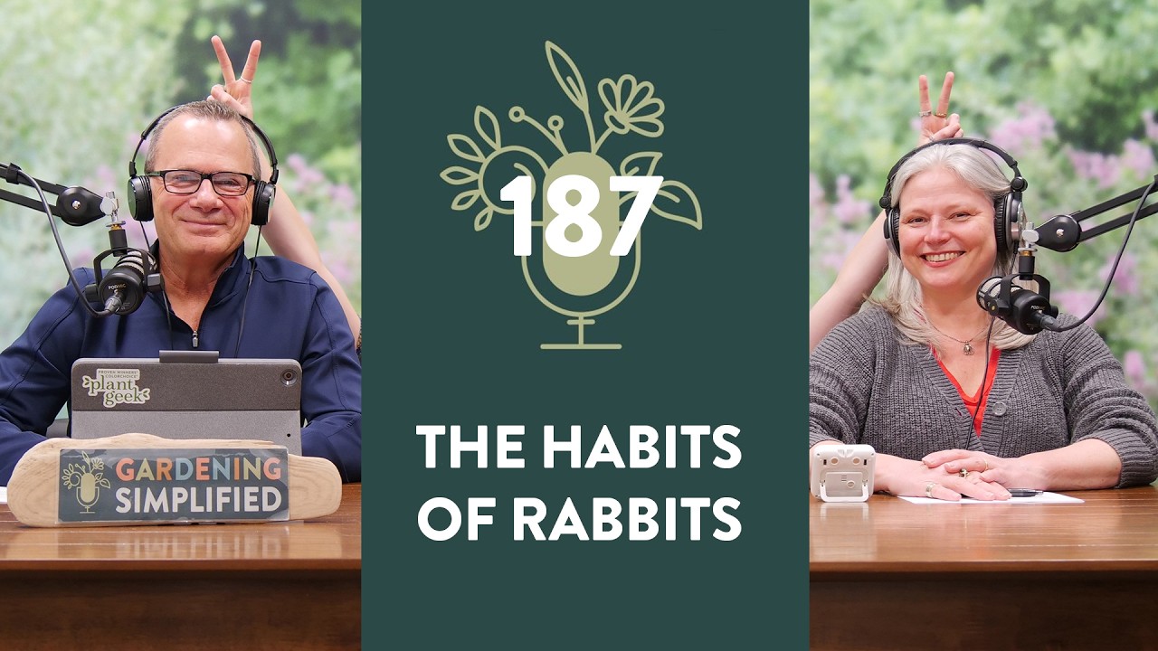 The Habits of Rabbits | Rabbits in the Garden | 187