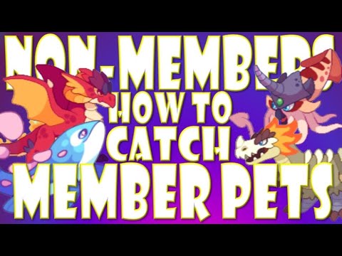 NON MEMBERS!!! How to Get MEMBER Pets in Prodigy Math!!!