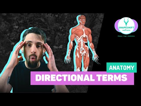ANATOMICAL POSITION & DIRECTIONAL TERMINOLOGY | Yoga Anatomy Lesson