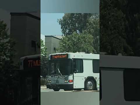 Vta bus route 77 Milpitas Bart