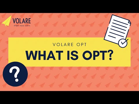 What is OPT?