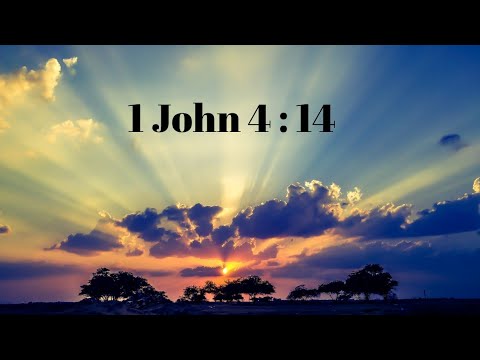 1 John 4 : 14