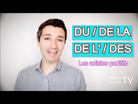 Français tous niveau (A1, A2, B1, B2) | Les articles partitifs, explications et exercice