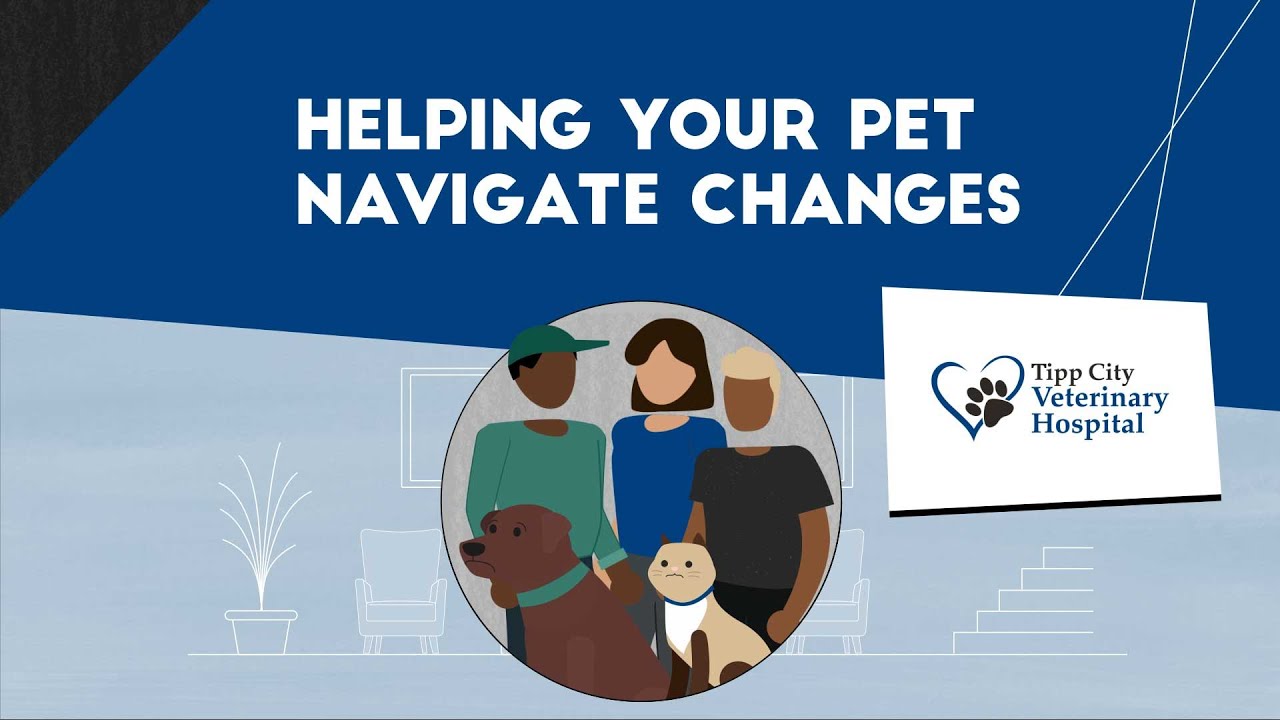 Helping Pets Adjust to Change: Tips for a Smooth Transition