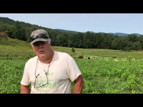 Understanding Conservation Easements