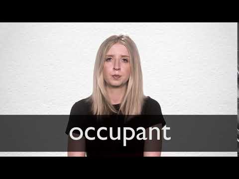 OCCUPANT definition and meaning | Collins English Dictionary