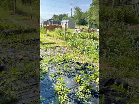 Let’s Talk About Community
