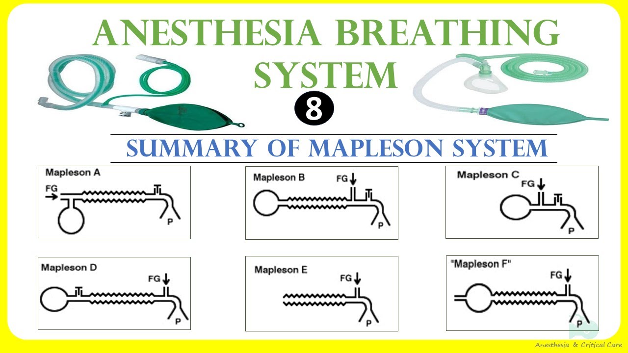 Mapleson system summary | Anesthesia breathing system