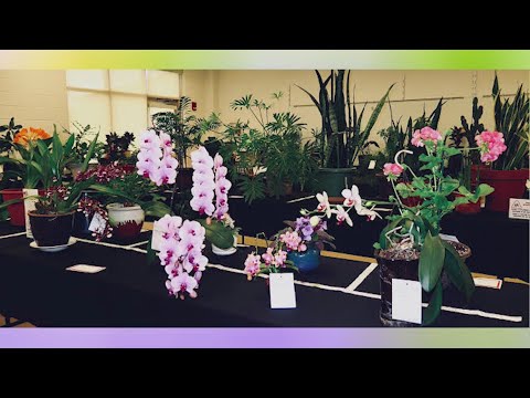 Shady Oaks Garden Club Flower Show