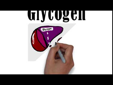 Interprete Medico - Terminologia Medica en Ingles - Como se Pronuncia glucógeno en Ingles?