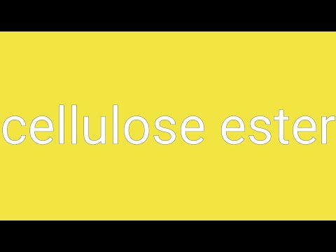 Cellulose Ester Definition & Meaning