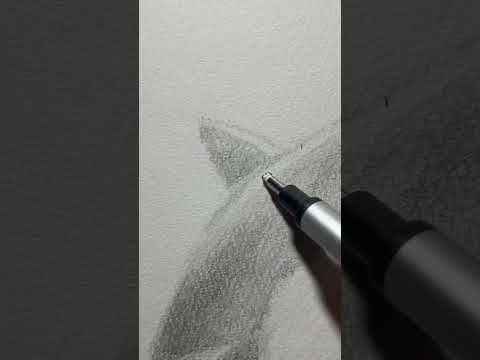 【鉛筆画】サメ #shorts #鉛筆画 #アート #pencildrawing #art
