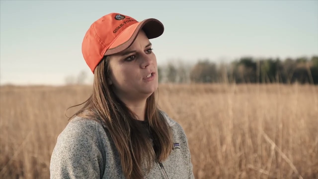Basics of Upland Bird Hunting