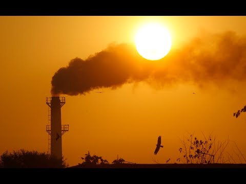 World needs to make near-revolutionary change to avoid imminent climate disaster. Is there hope?