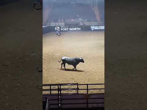 UBF Elimination round #ubf #pbr #stockyards