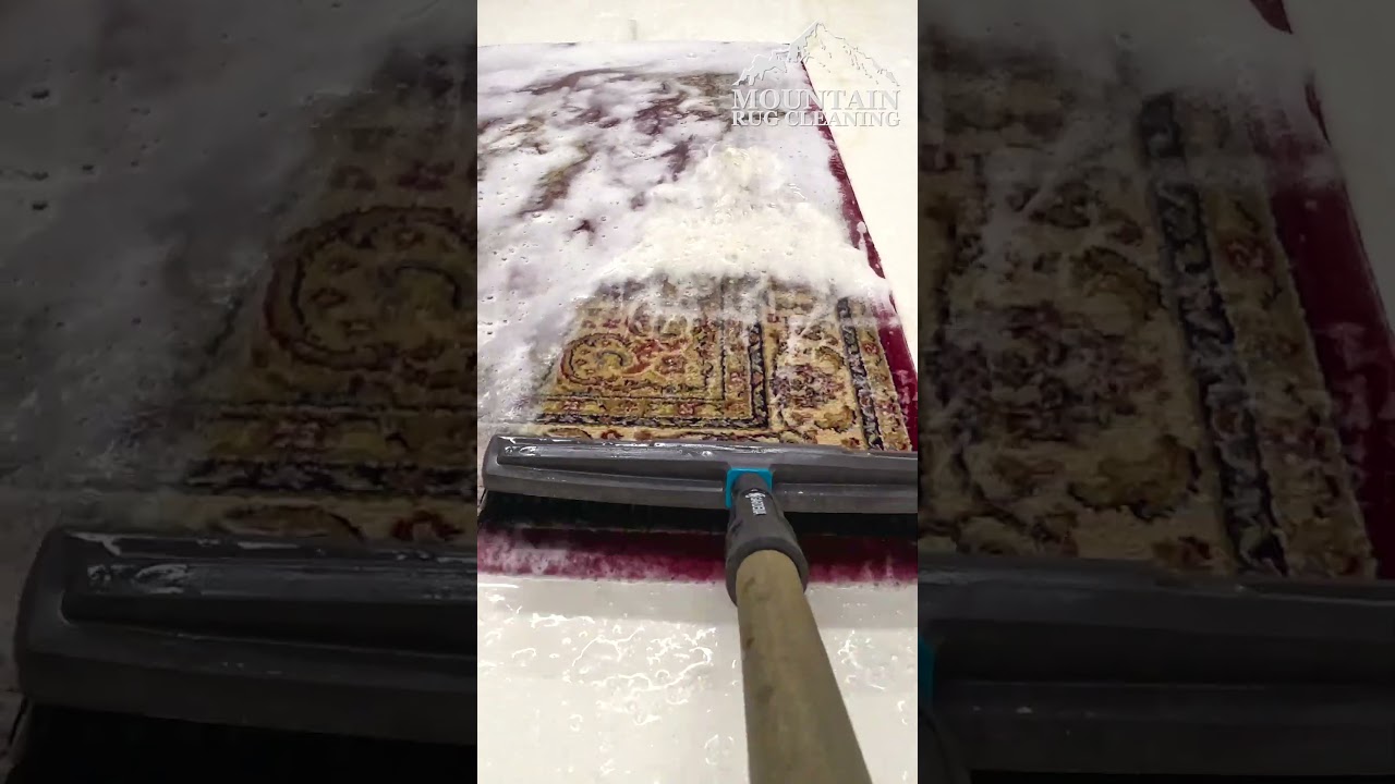The Most Shocking Angles Show Just How Dirty This Rug Was. Satisfying ASMR Carpet Cleaning. #shorts