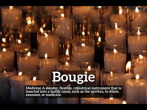 What is Bougie? | How to Say Bougie in English? | How Does Bougie Look?