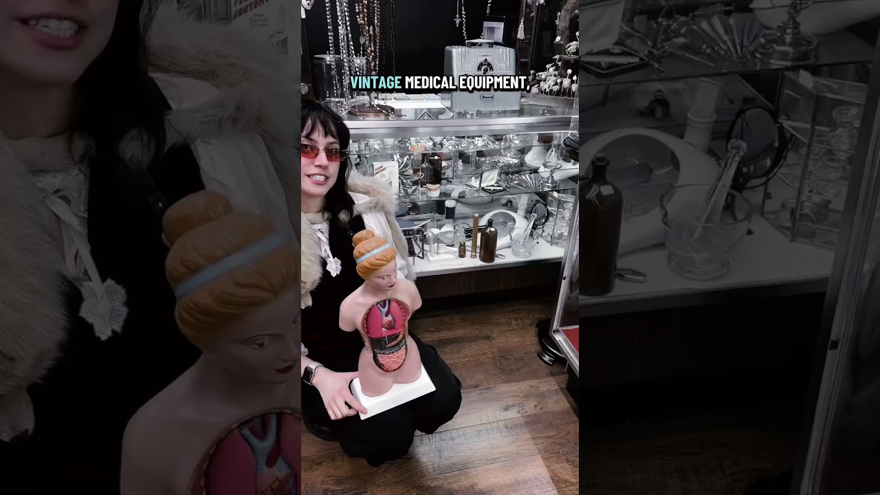 If you’re goth and love oddities DeviousFX is your second home 🖤 Filled with ethically sourced