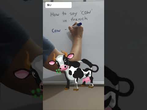 How to say COW in French - Learn French - Onward Academy | #fyp #shorts #foryou #viral