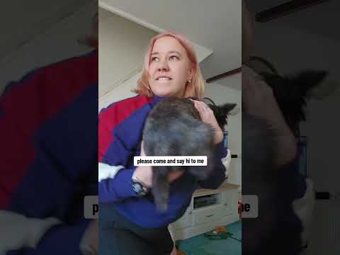 Hi, I'm Maria! I'm a dog groomer and a content creator #doggroomer