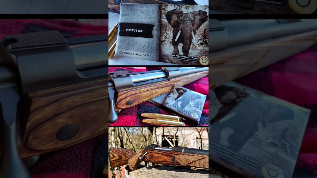 Super Powerful Elephant Rifle!!! 🐘🐘🐘