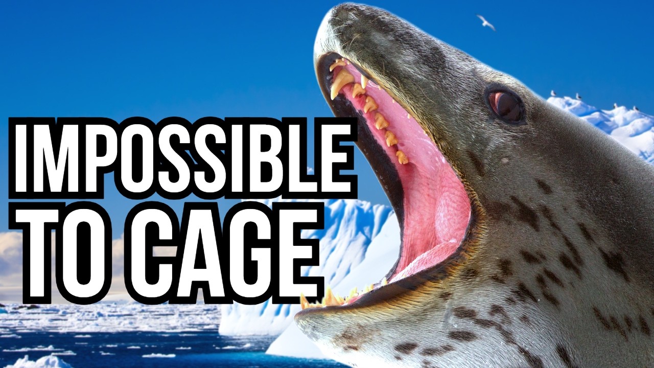 7 Animals That Are Impossible To Keep In Captivity