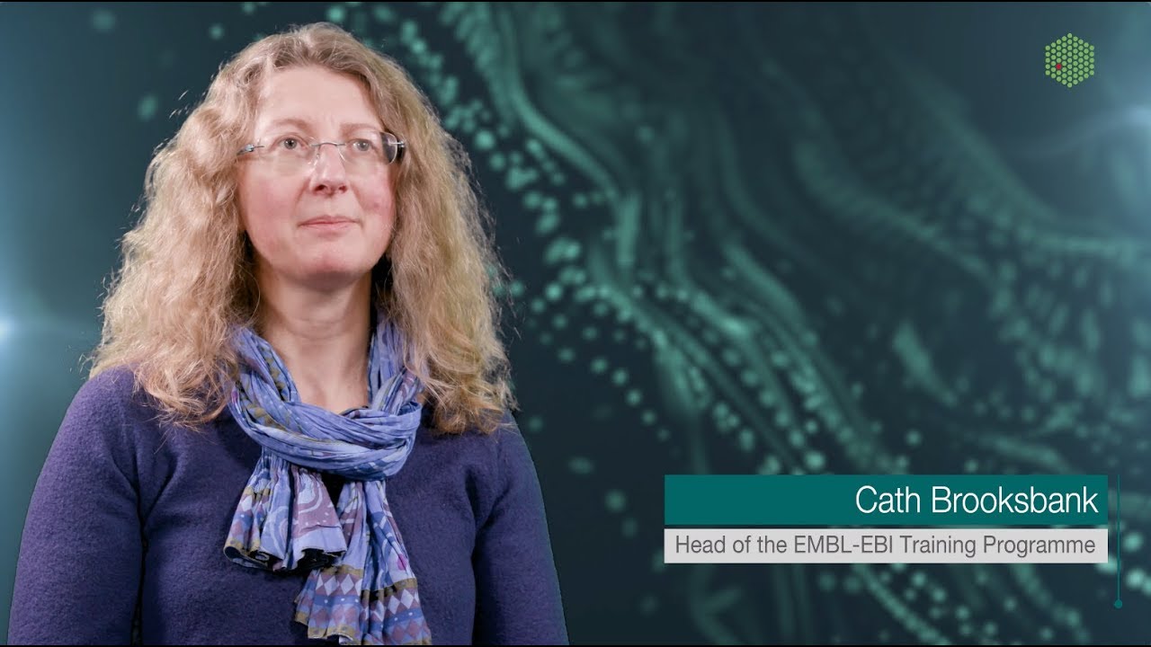 In Focus: Bioinformatics training