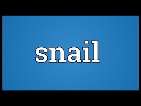 Snail Meaning