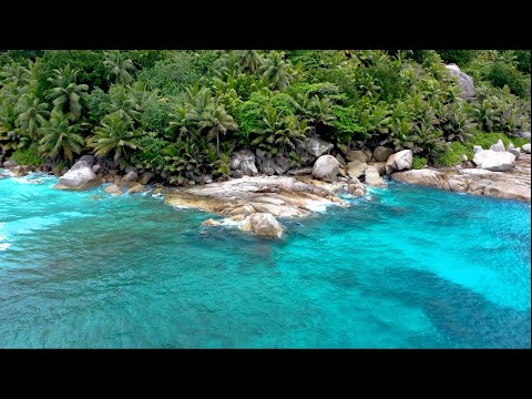 RELAXING WAVES VIDEO LOOP - 1 hour - StayVibe
