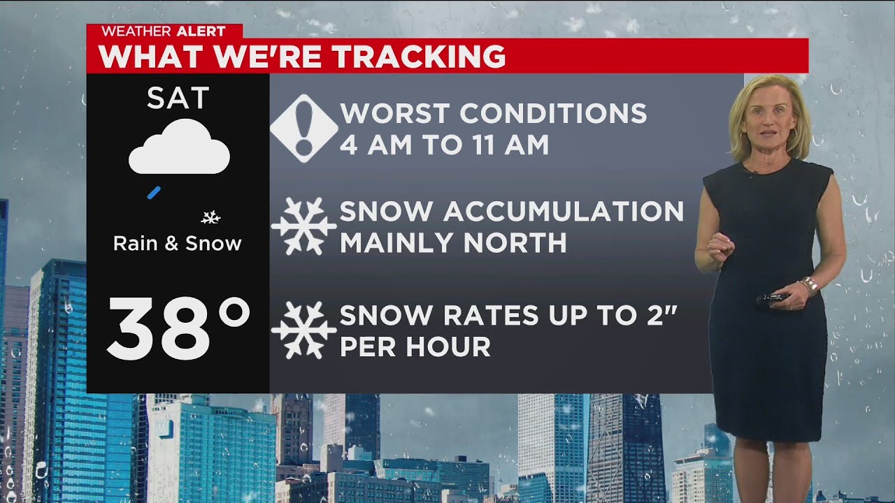 Chicago Weather Alert: Winter Storm Warning for Lake, McHenry counties