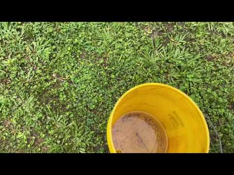 Rule 800 vs T-H Marine 800 GPH Bilge Pump