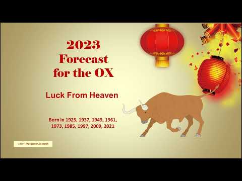 OX 2023 Animal Sign Prediction | Year of the Water Rabbit