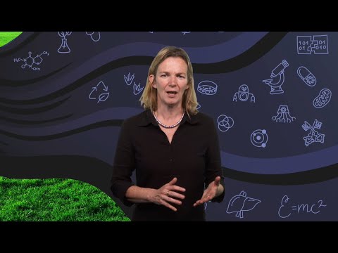 Effects of nanomaterials on organisms and ecosystems | Martina Vijver | TEDxBoerhaavedistrictStudio