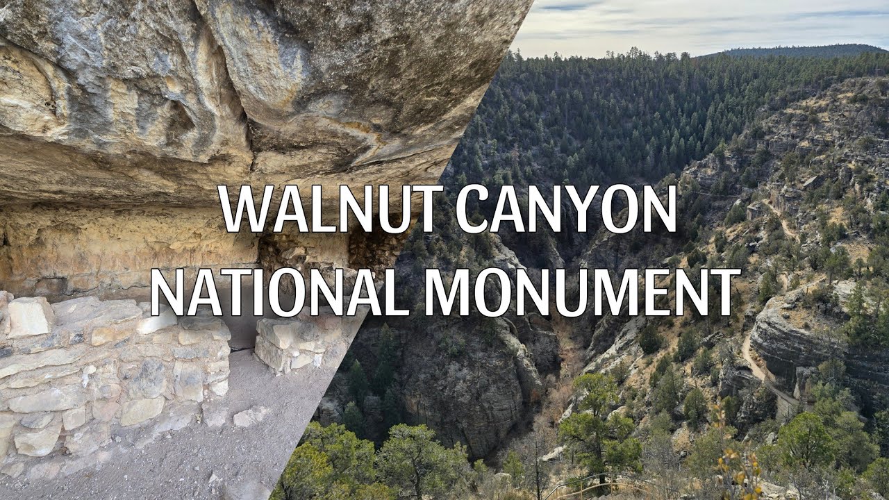Exploring Walnut Canyon National Monument | Hidden Gem near Flagstaff, Arizona | Sideway Tales