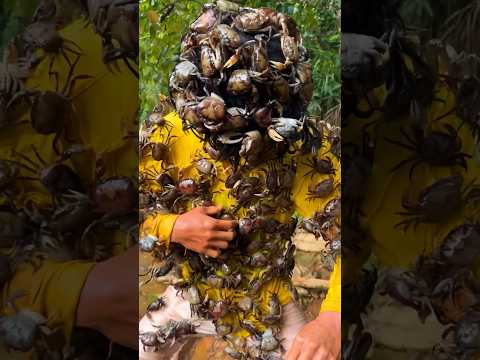 ToRung comedy: 🦀catching crabs in Ohio😂