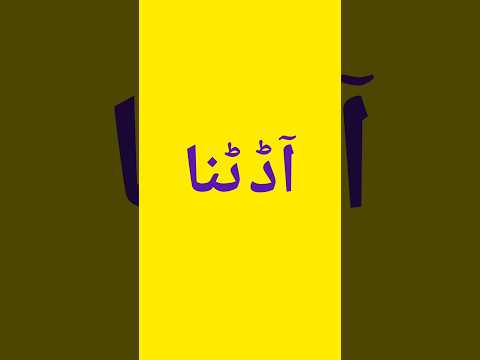 آڈٹنا meaning in Urdu#urdudictionary #urdu#urdumeaning #viral #shorts #urduidioms #pronunciation