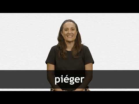 English Translation of “PIÉGER” | Collins French-English Dictionary