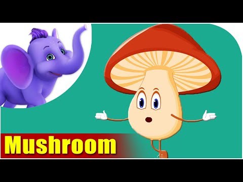 Mushroom - Vegetable Rhyme