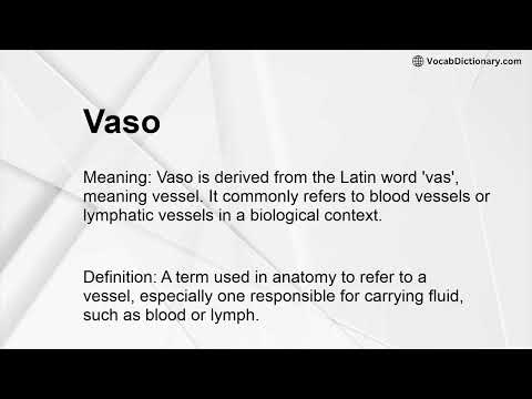 Vaso Meaning