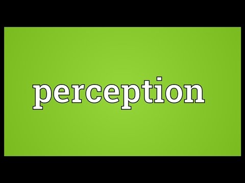 Perception Meaning