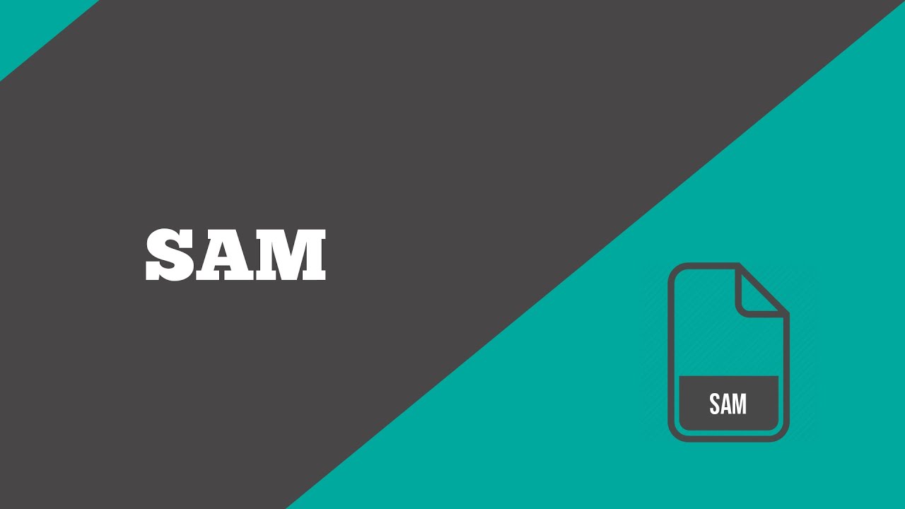 Bioinformatics: Sam | BioCode Ltd