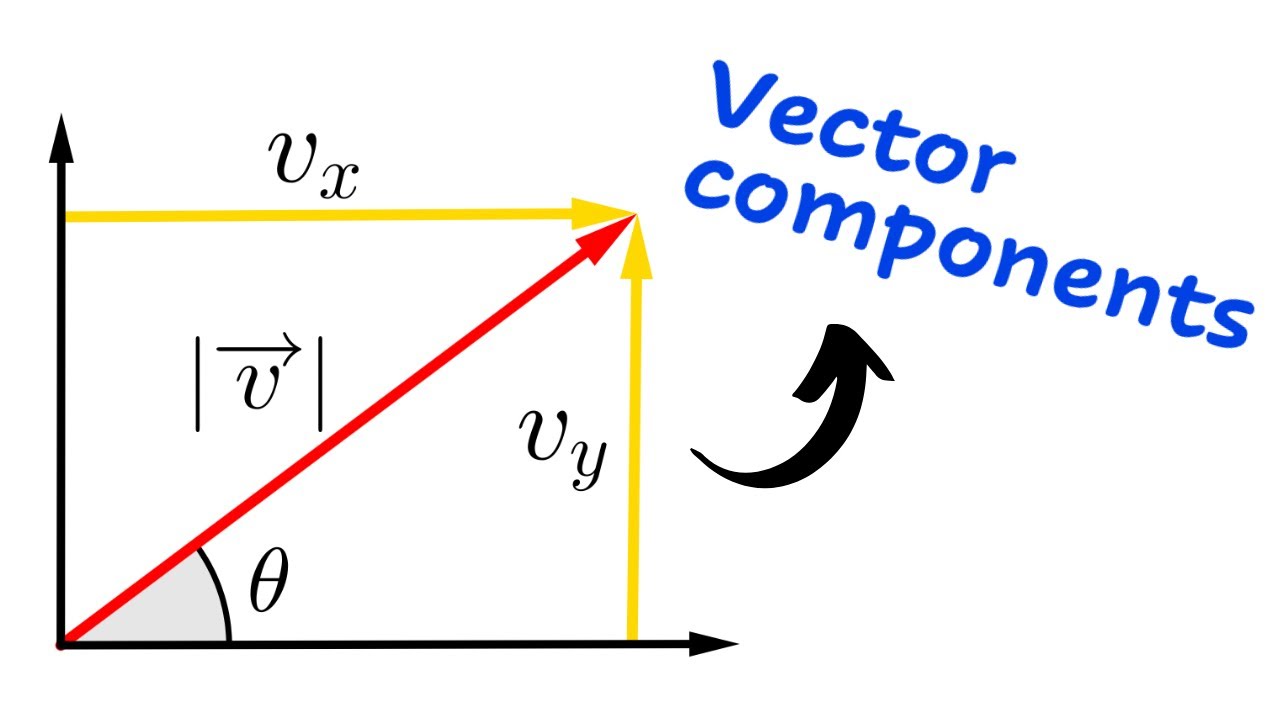 Vector components and graphic representations | Easily explained