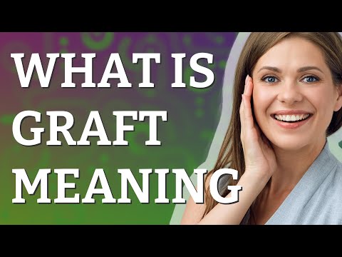 Graft | meaning of Graft