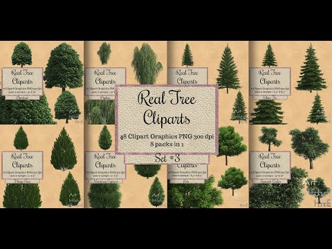 48 Real Tree Cliparts - set 3 - photoshop overlays png, Tree layout, transparent background